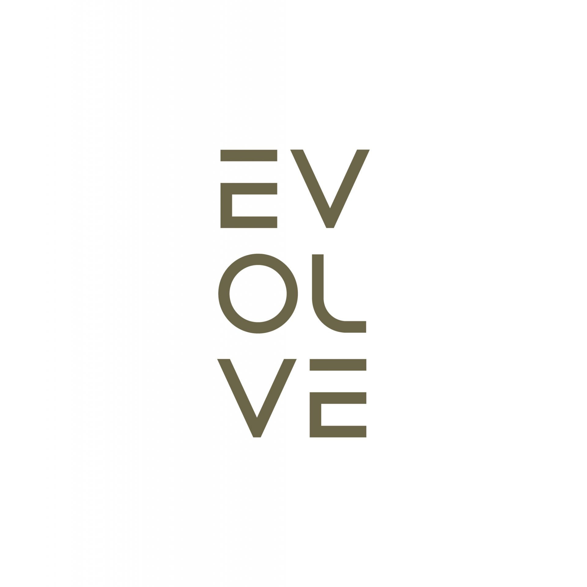 Evolve Developments - Papercuts Design